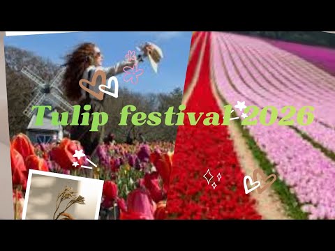 “Hidden Gem in England | Hertfordshire Tulip Festival Guide”
