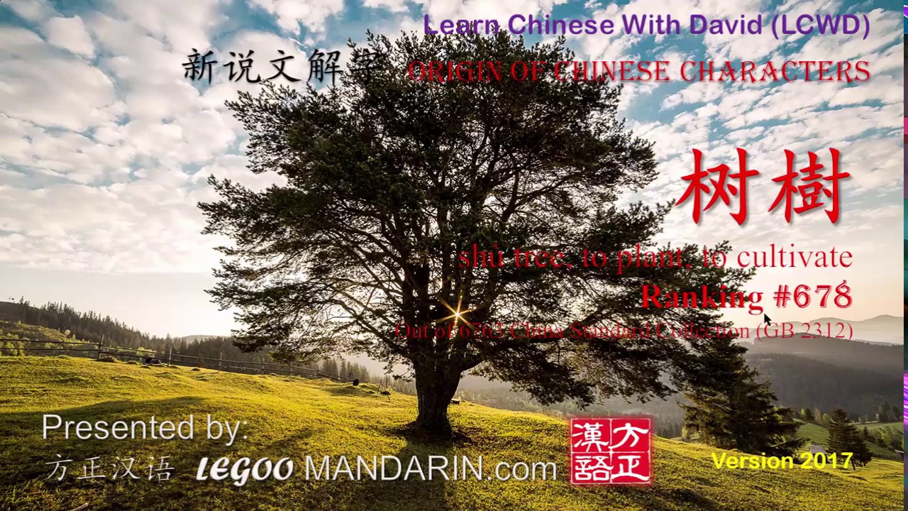 Origin of Chinese Characters - 678 树 shù tree, to plant, to cultivate ...