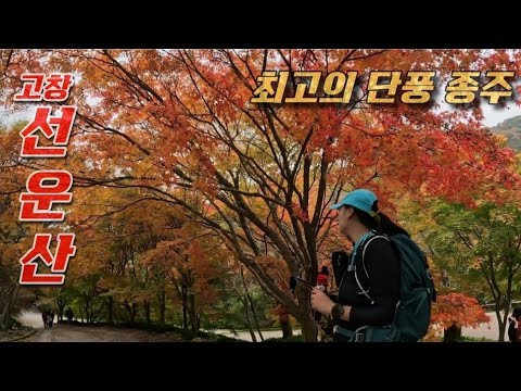 The best way to see all of Seonunsan Mountain at once: Hwan (autumn leaves) Jongju / Seonunsan Pa...