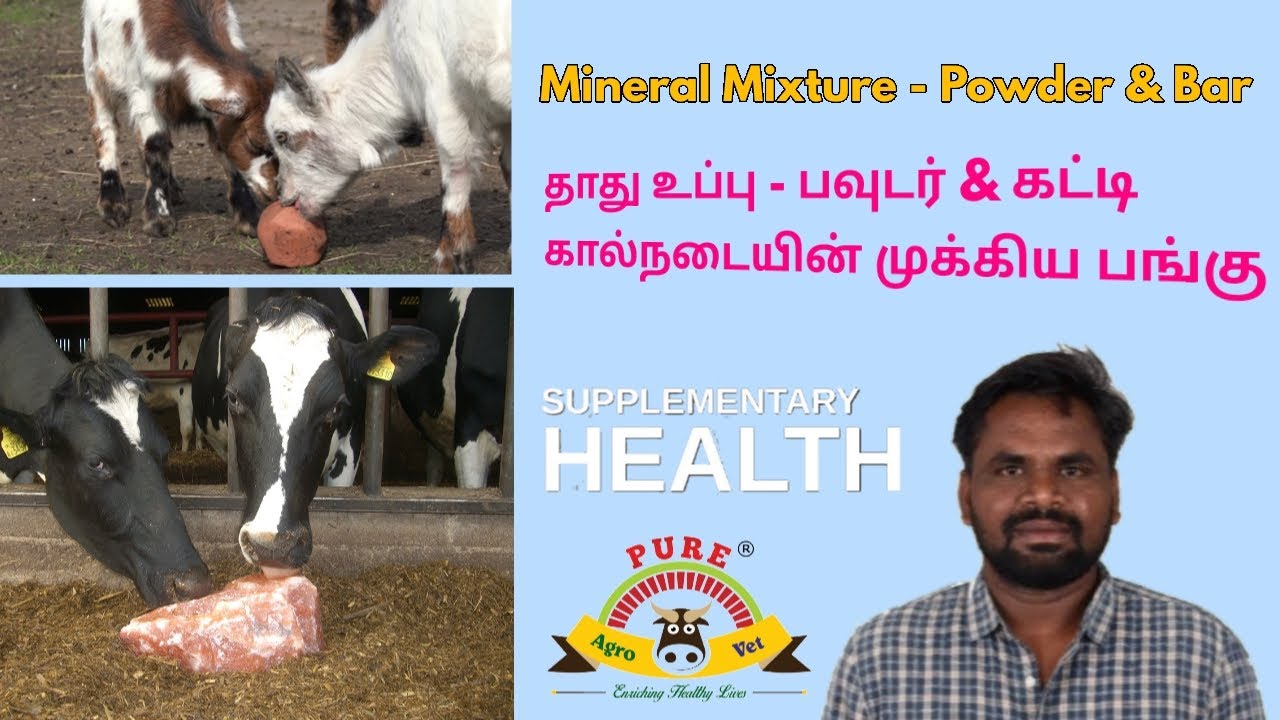 Mineral Mixture - Powder & Bar || தாது உப்பு - பவுடர் & கட்டி ...