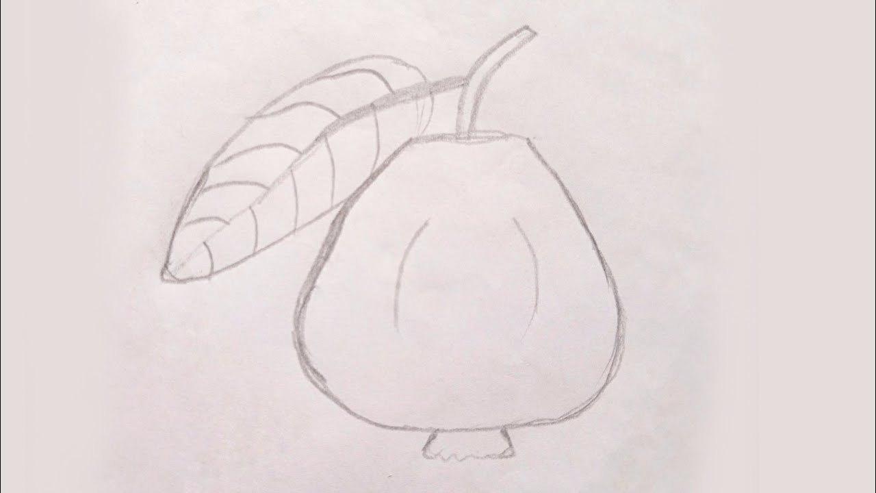 how to draw guava fruit | guava drawing for beginners | easy guava drawing | drawing guava - YouTube