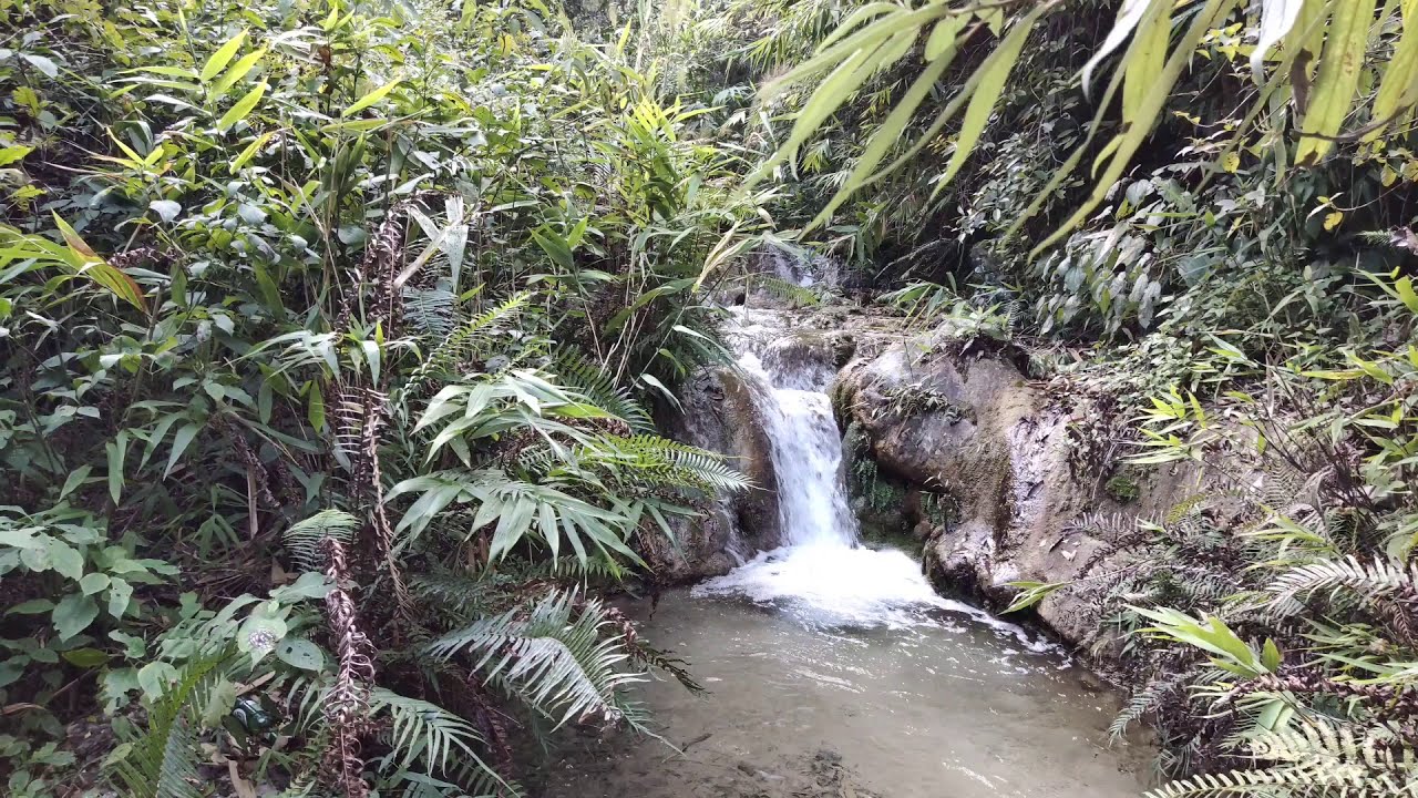 Garud Chatti Waterfall Rishikesh - YouTube