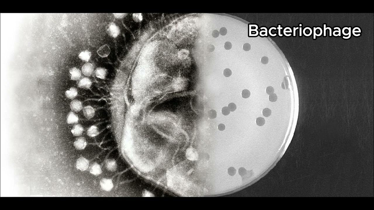 Editor's pick for the PPJ 2024 April issue - YouTube