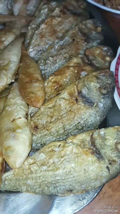سمك دنيس مقلى على البوتجاز مع ارز صيادية على أصوله يجنن اسماك كنوزىواكلاتى Youtube