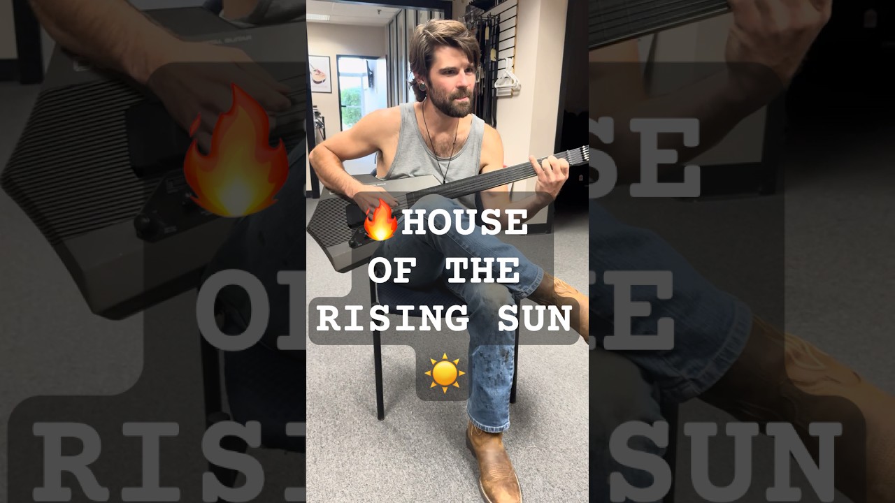 🤴House of the Rising Sun on Casio DG-20 Digital Guitar | Steve Daniels ...