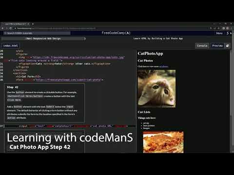 Learn HTML by Building a Cat Photo App - Step 42 - YouTube
