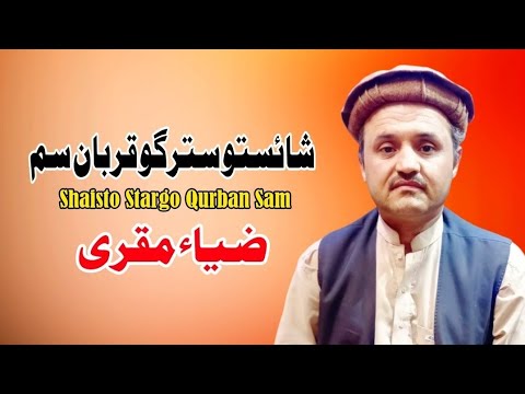 Shaisto Stargo Qurban Sam | Zia Muqurai Pashto Song 2024 | New Pashto ...