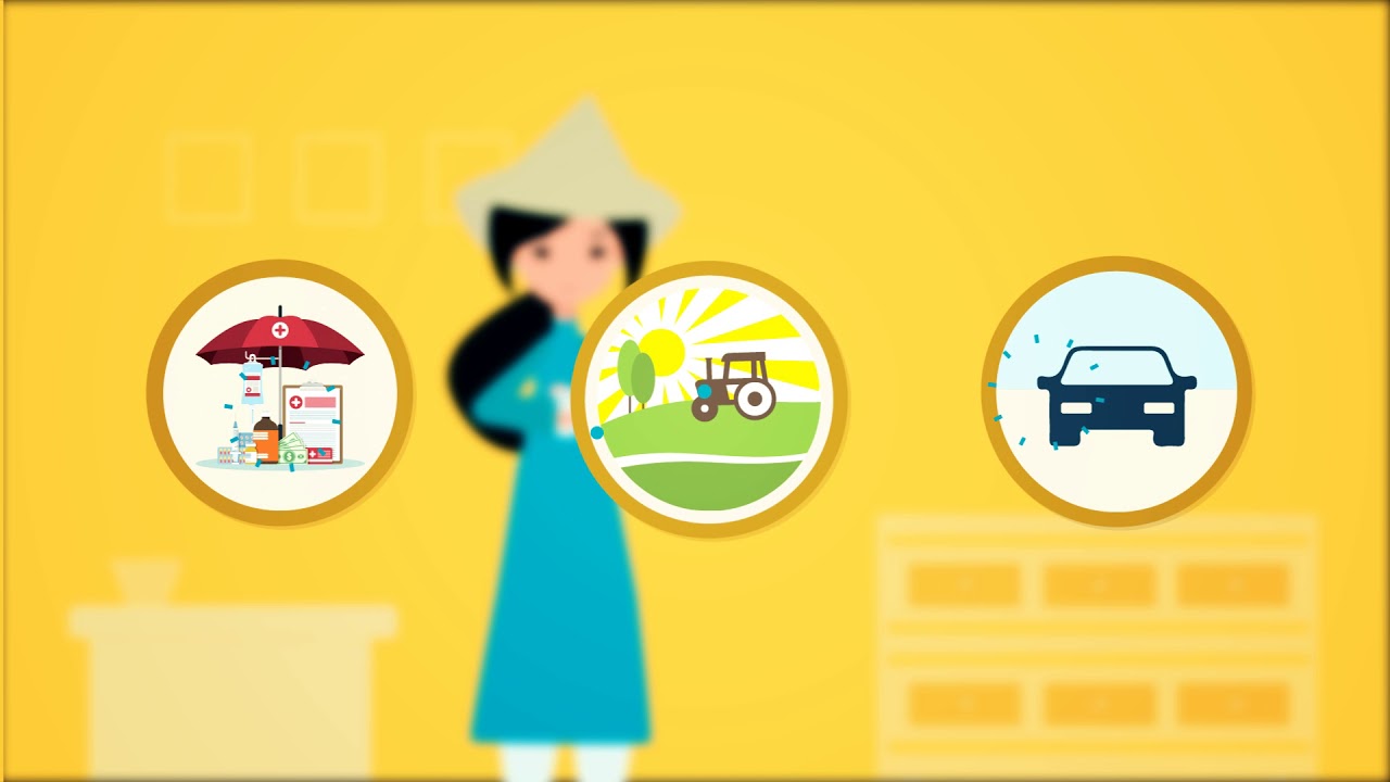 Motion Graphics Animation After Effects-Movivo Insurance |Motion ...