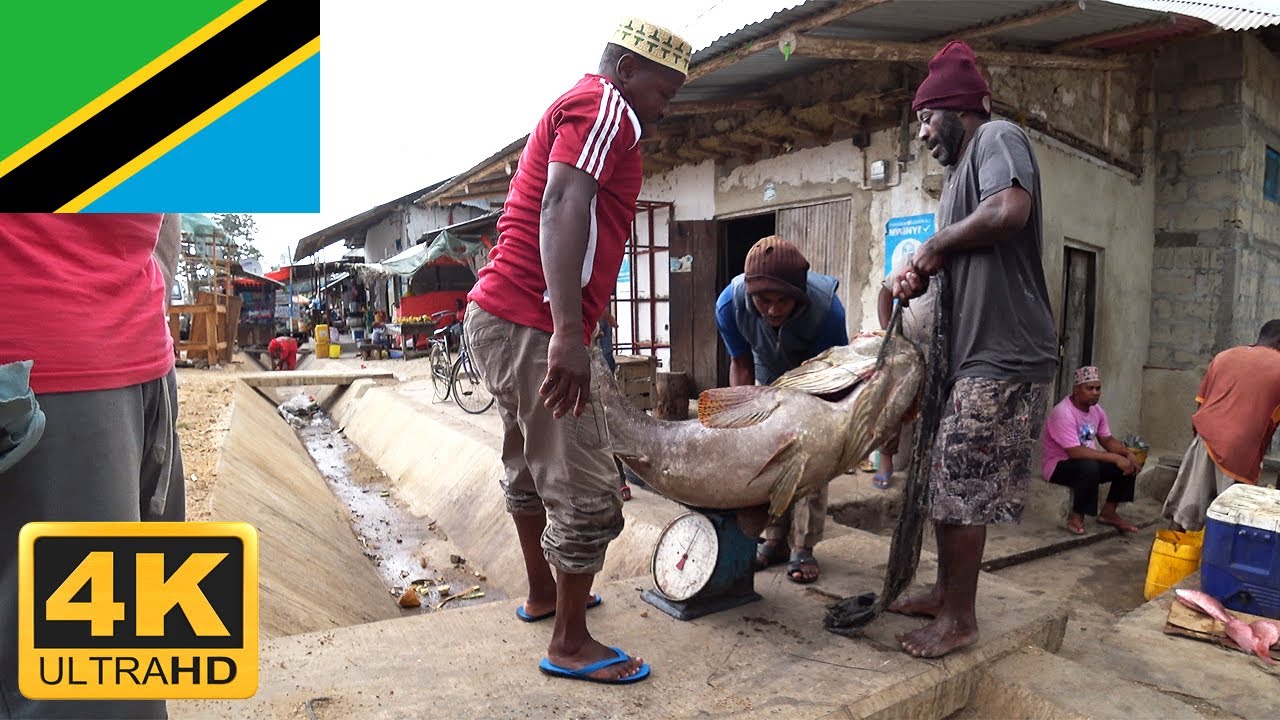 Mkokotoni Zanzibar e2 - YouTube