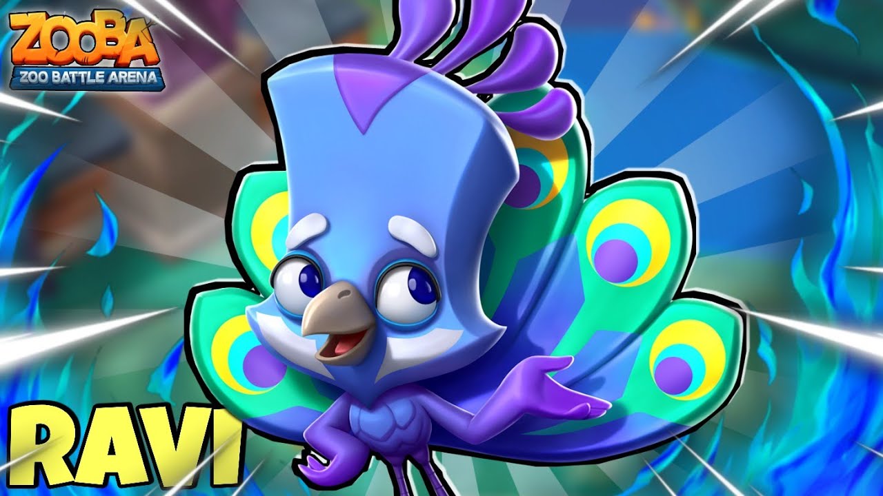 LIBEREI O PAVÃO RAVI NOVO PERSONAGEM - Zooba Jogo de Batalha Animal ...