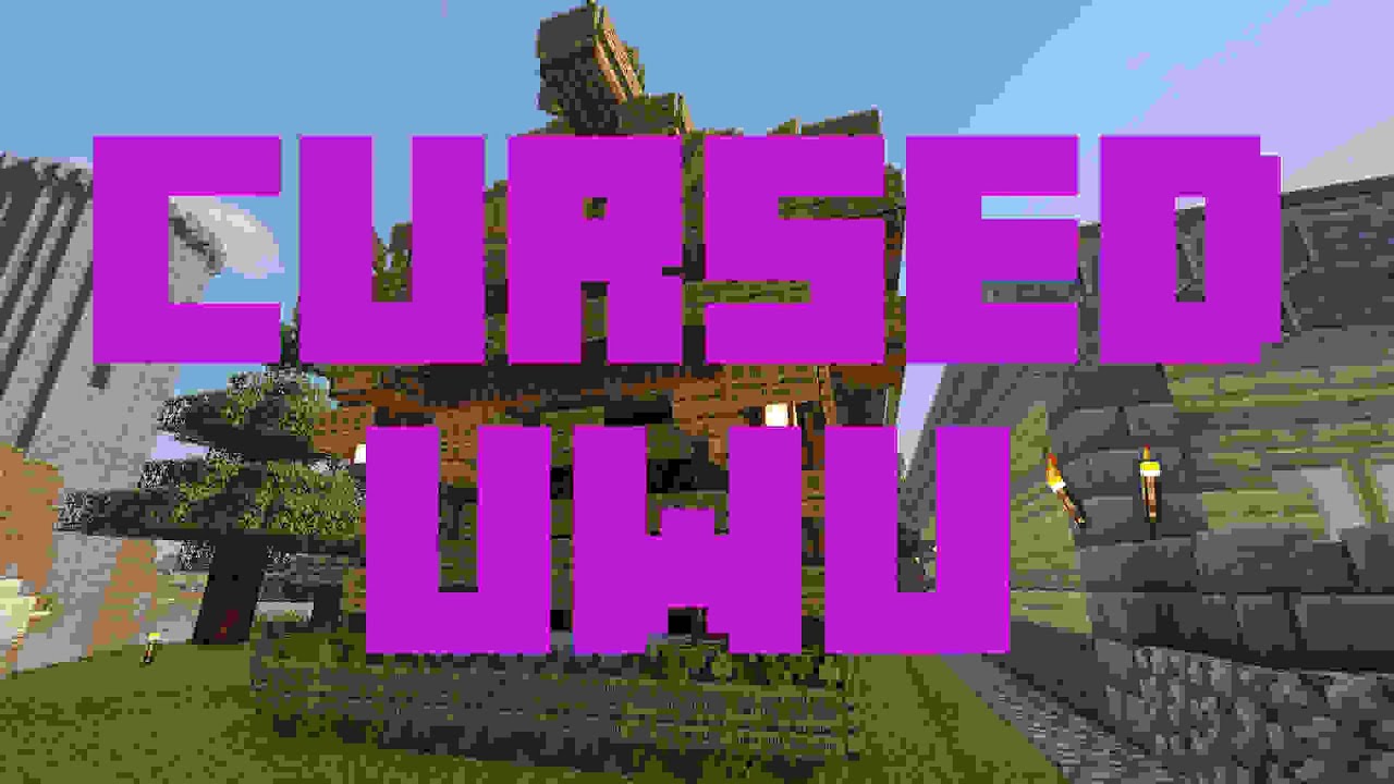 my minecraft server is cursed - YouTube