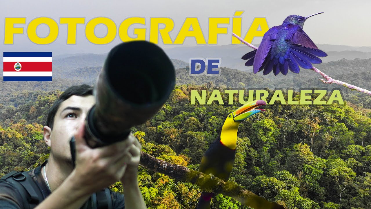 Fotografía de Naturaleza en Costa Rica / Muchas sorpresas - YouTube