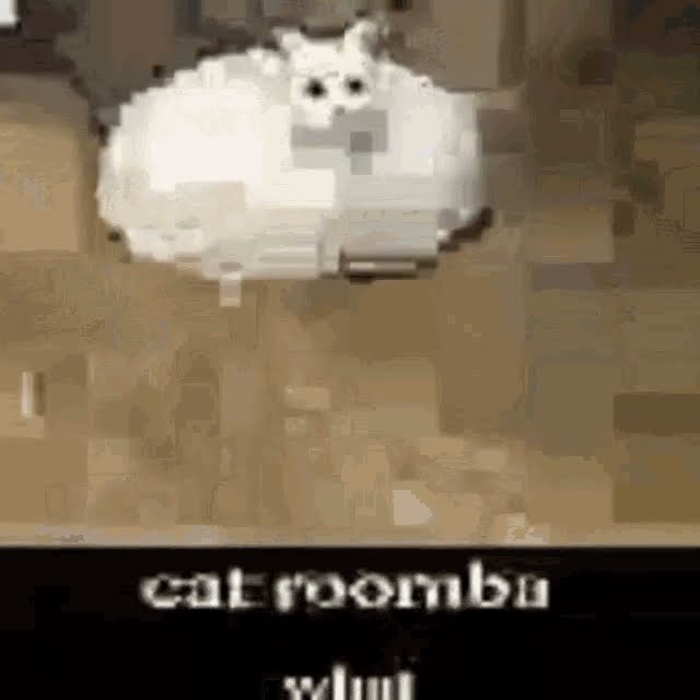 cat roomba #memes - YouTube