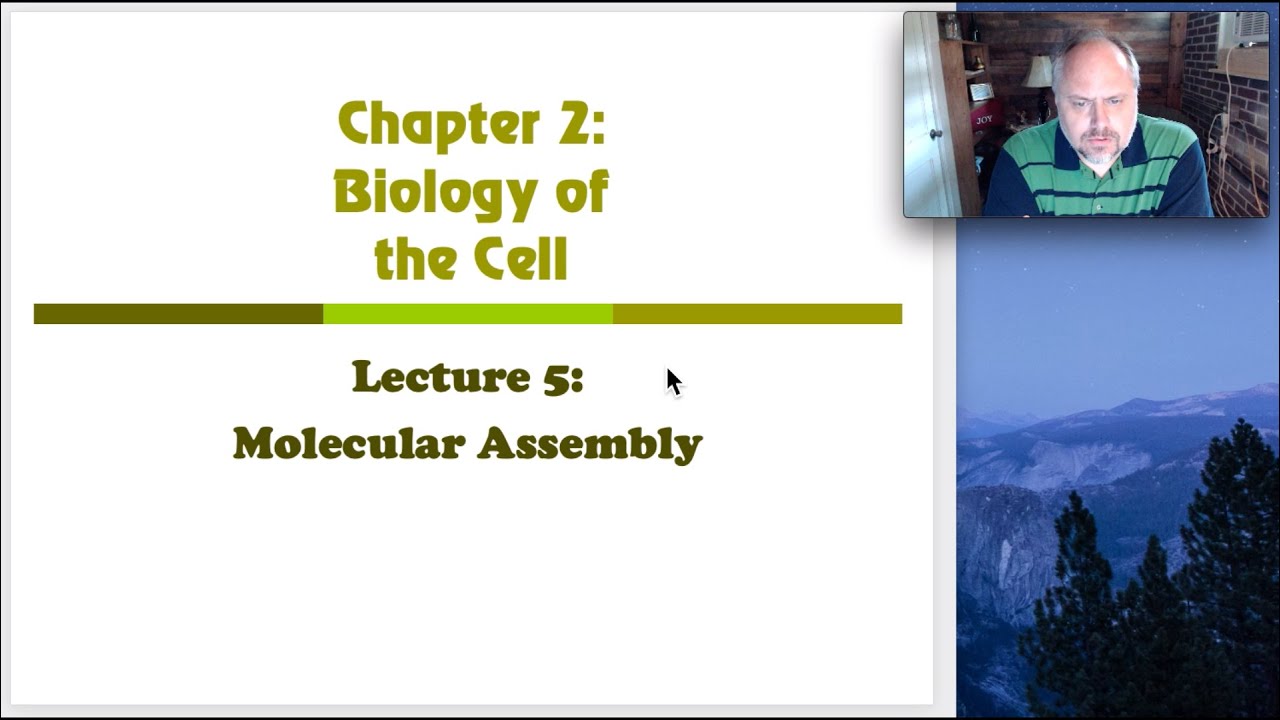 Developmental Biology_2.5: Molecular Assembly - YouTube