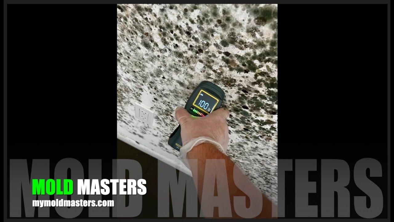 A Day in the Field at Mold Masters - YouTube