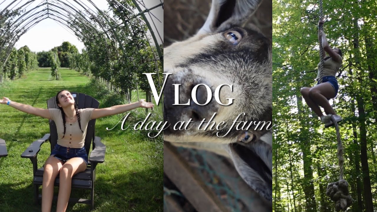 FARM VLOG | Apple Picking At Chudleigh's - YouTube
