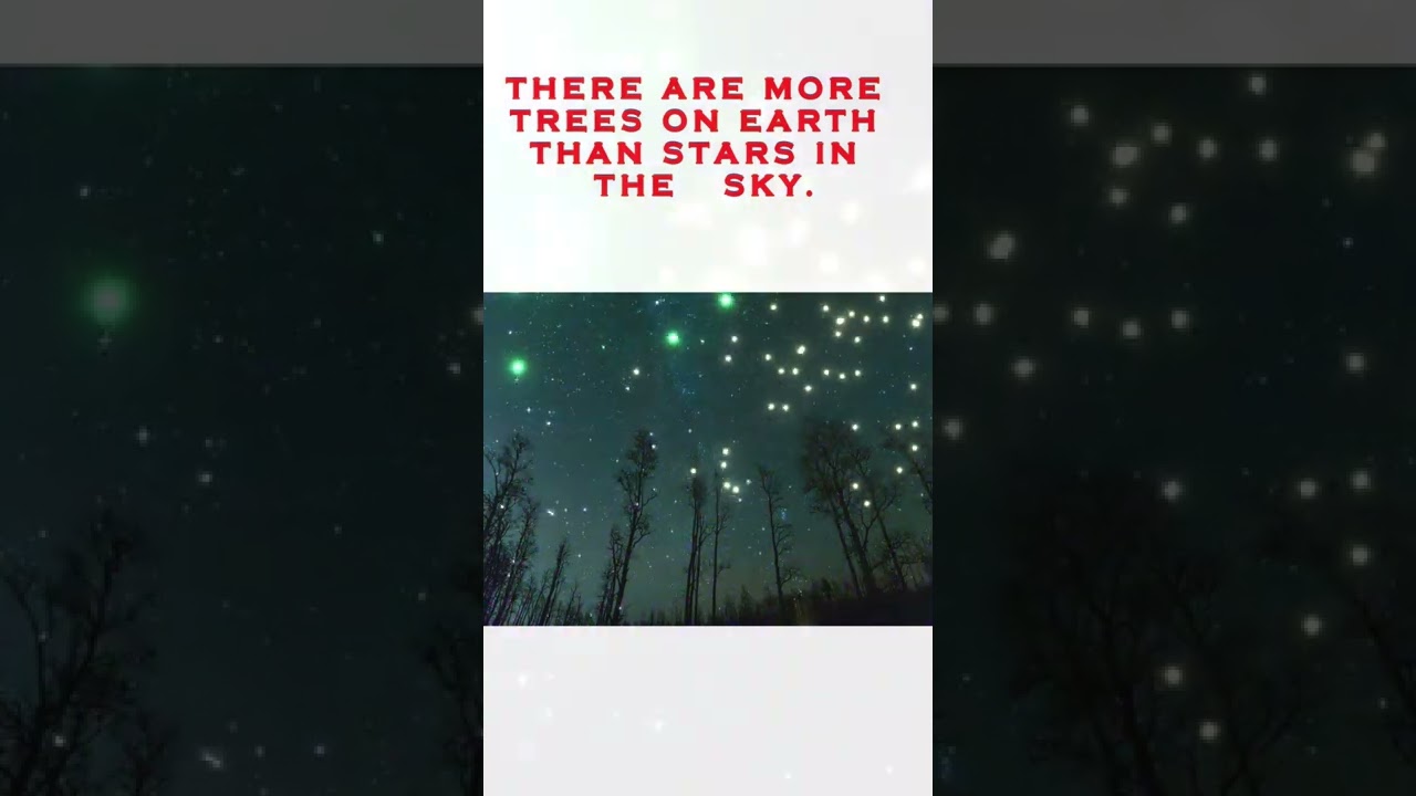 DID YOU KNOW? THERE ARE MORE TREES ON EARTH THAN STARS IN SKY ...