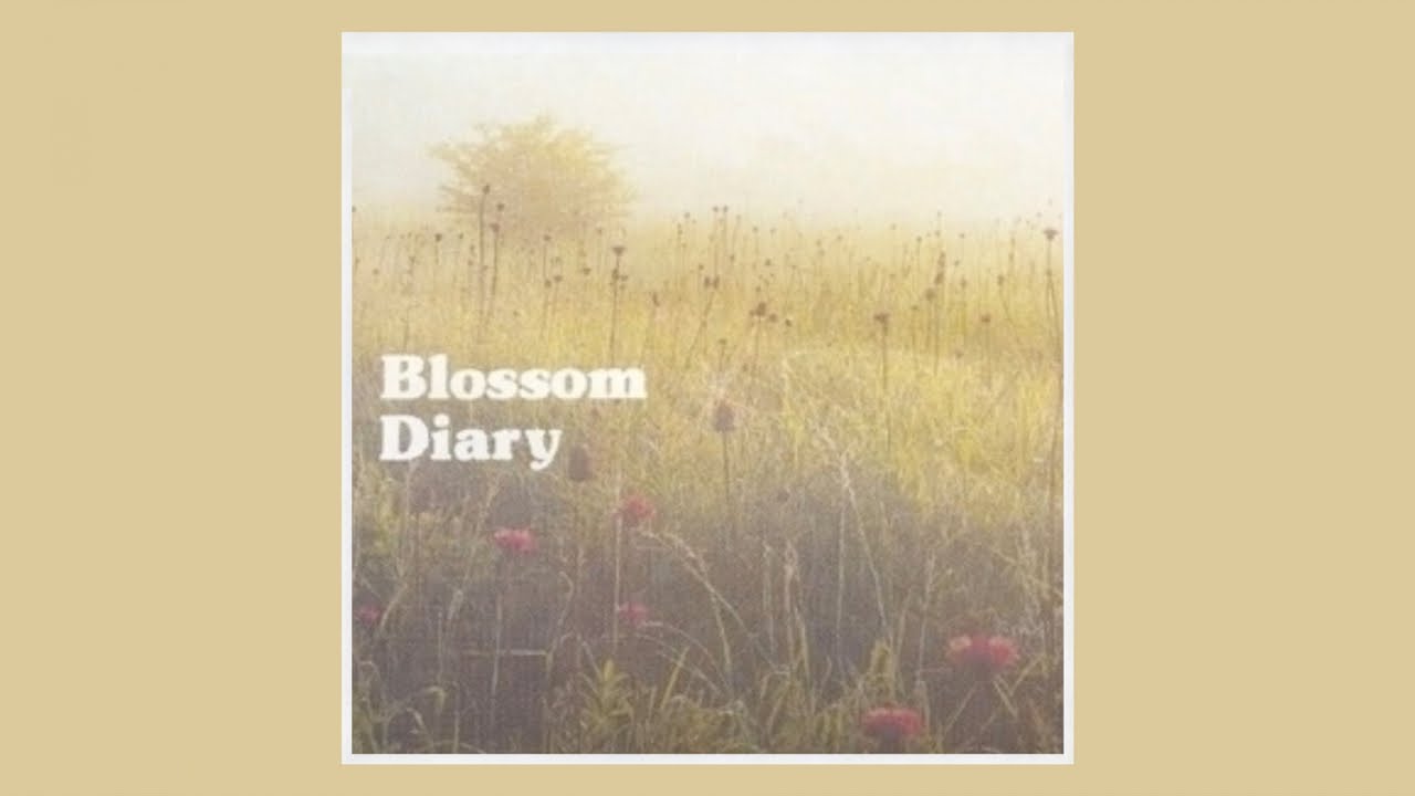 Blossom Diary - Blossom Diary (Full Album) - YouTube