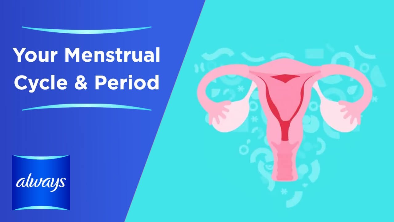 Your Menstrual Cycle Periods In 3 Minutes your-menstrual-cycle-periods-in-3-minutes