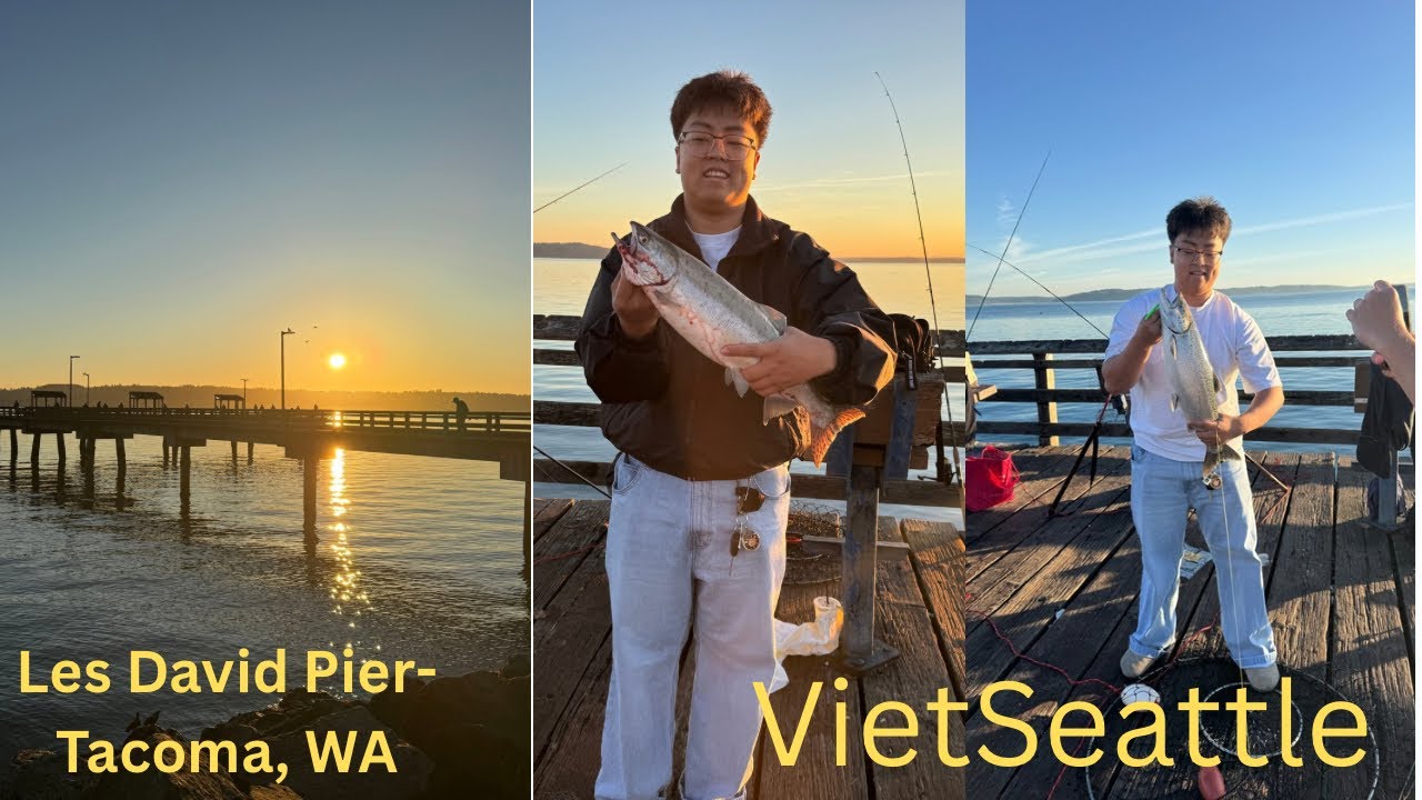 Epic Day of Salmon Fishing at Les Davis Pier – King & Pink Action ...