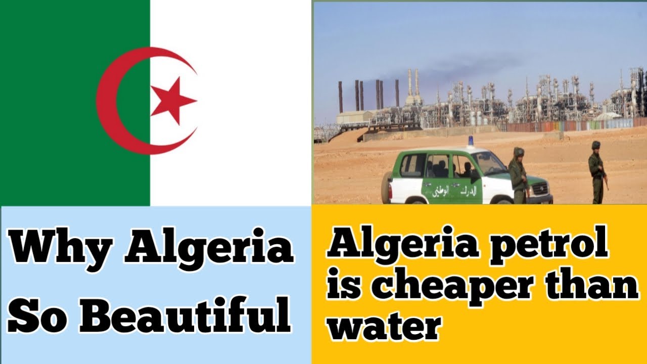 Did You know? | Facts About The Algeria ||World Facts|| #WorldFacts # ...