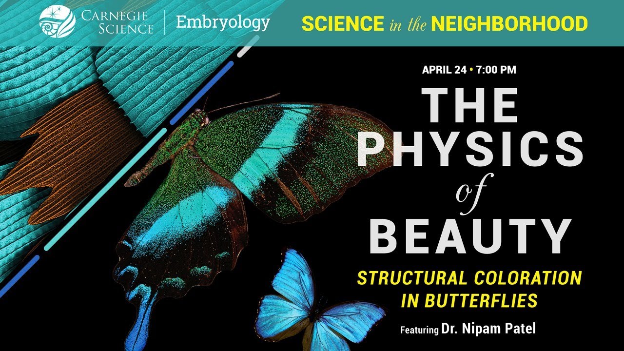 The Physics of Beauty: (Dr. Nipam Patel) // Science in the Neighborhood ...