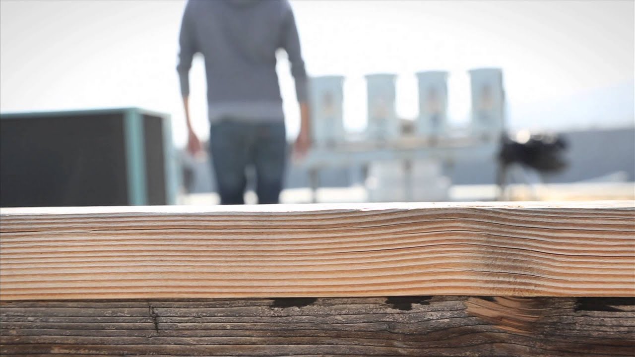 Tal Lee Model Introduction Video - YouTube