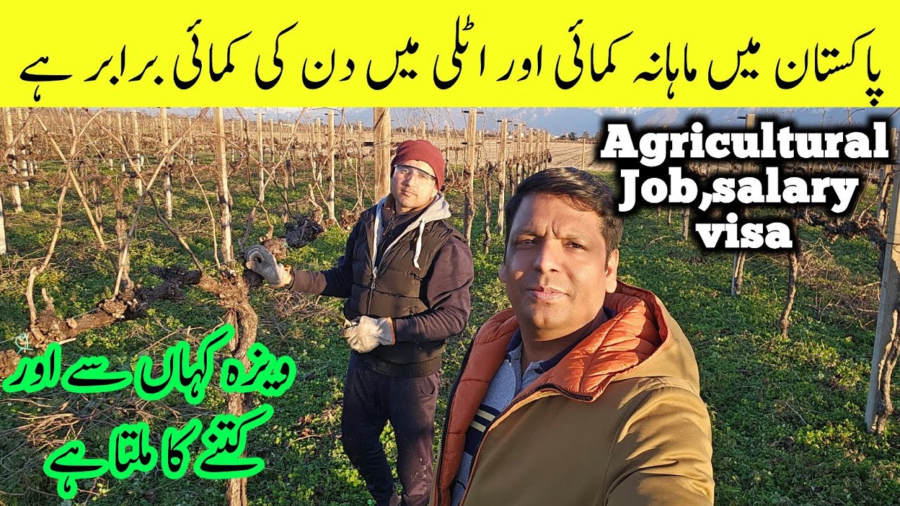 Agricultural Job,salary, and visa process in italy | Seasonal work visa ...