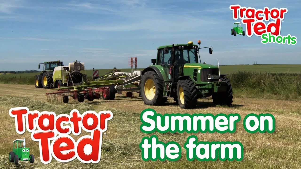 Lets Look At Summer On The Farm ☀️ | Tractor Ted Shorts | Tractor Ted ...