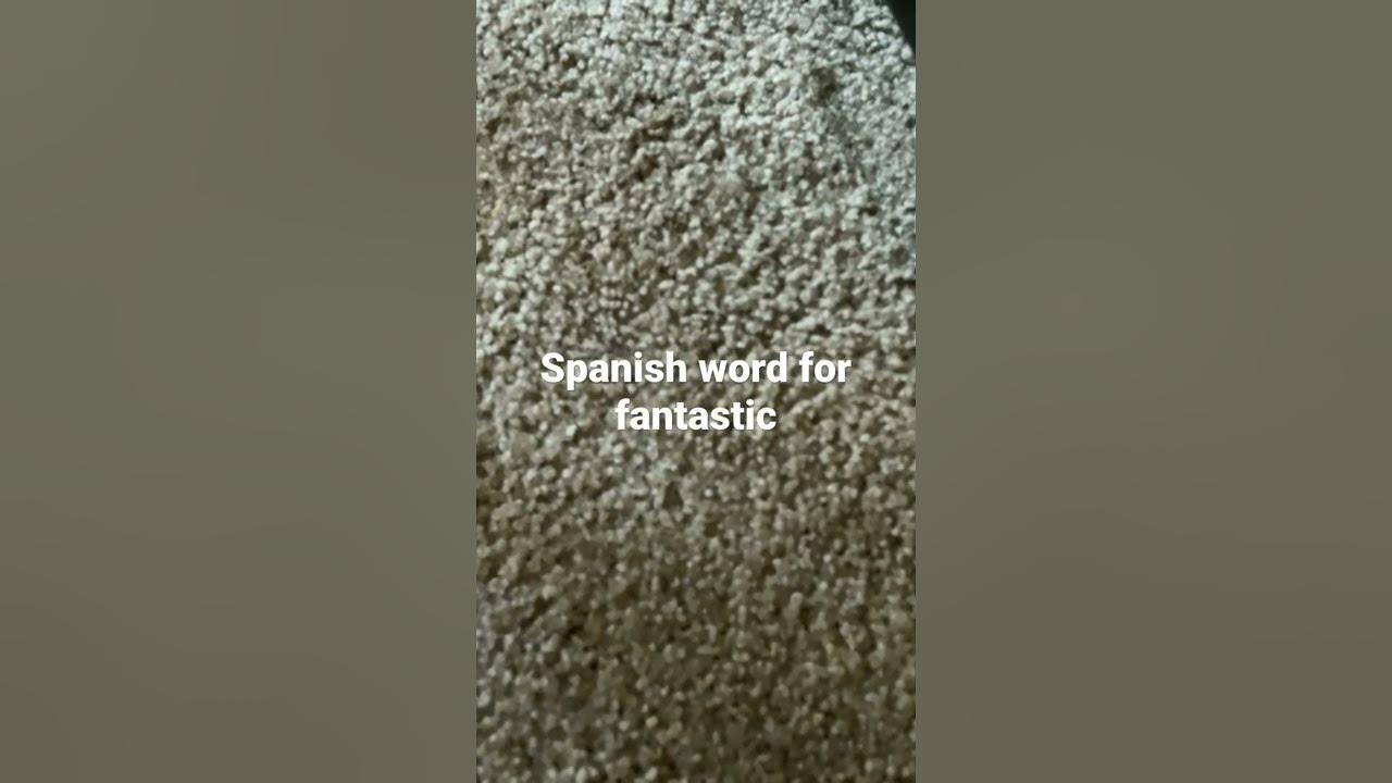 Spanish Word For Fantastic YouTube spanish-word-for-fantastic-youtube