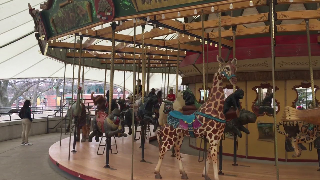 Chicago zoo carousel - YouTube