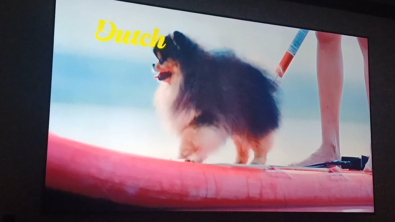 Dutch🌐 2026 Commercial - Stay Ahead - YouTube