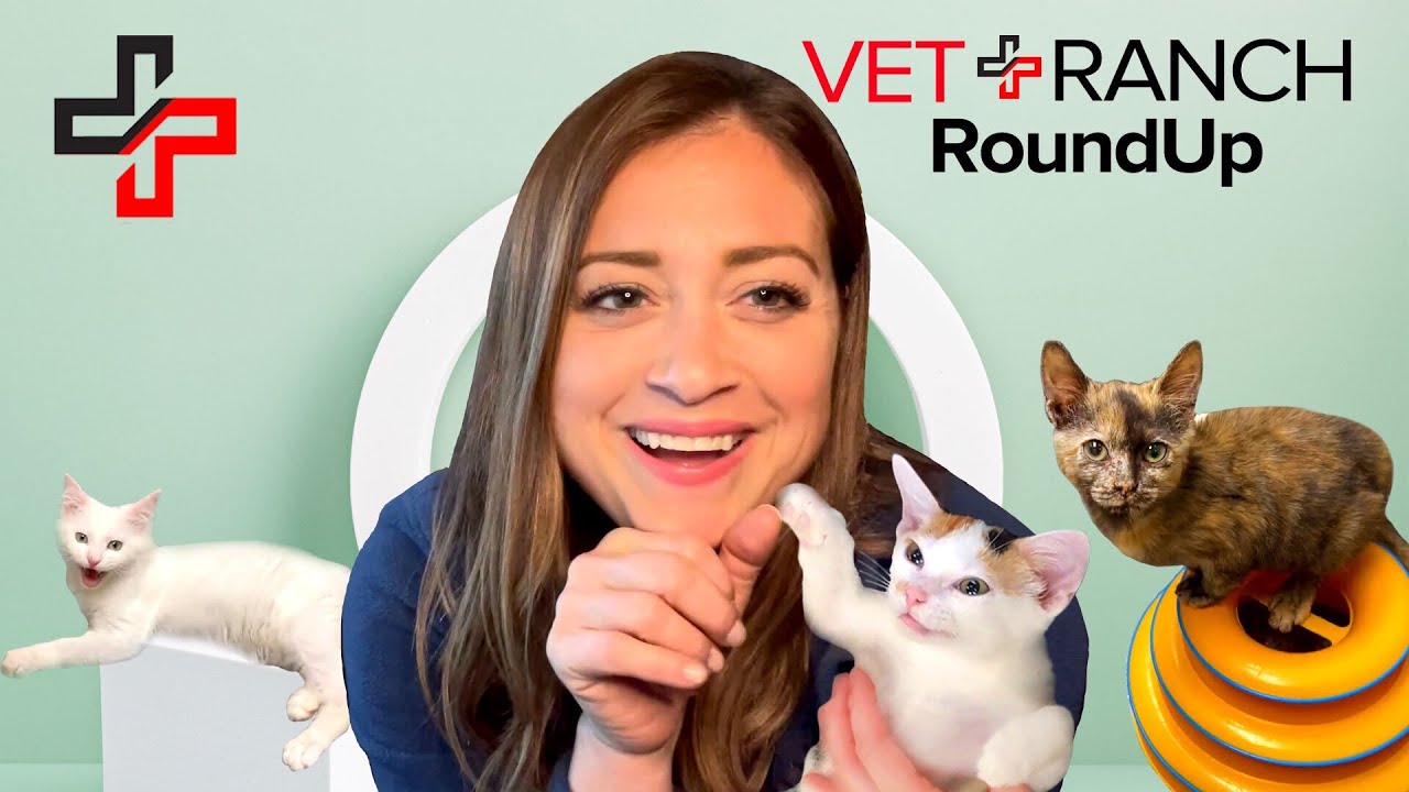 MEGA SPAY WEEK on Vet Ranch RoundUp! - YouTube