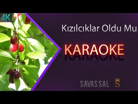Kızılcıklar Oldu Mu Karaoke