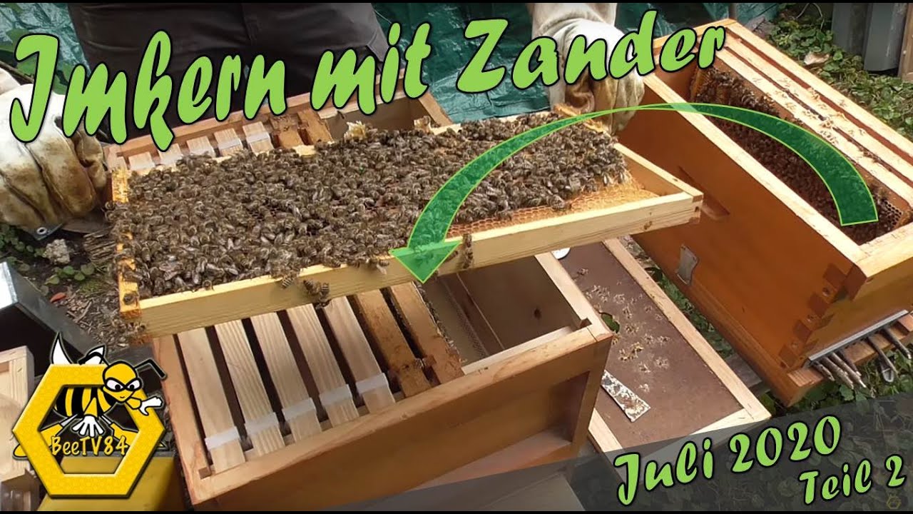 Juli 2020 #2 - Bienenvolk in Magazinbeute umlogieren - Imkern mit ...