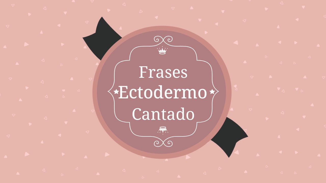 Ectodermo Cantado En Frases Youtube 3446