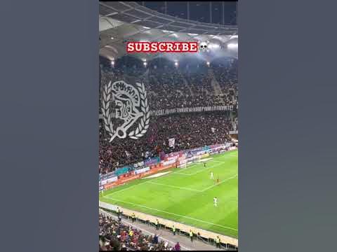 FCSB 3D COREOGRAPHY ☠️ #shorts #ultra #coreography #foryou #casual #share #football - YouTube