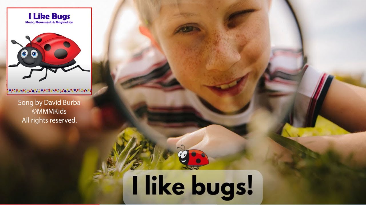 I Like Bugs by Music, Movement & Magination - YouTube