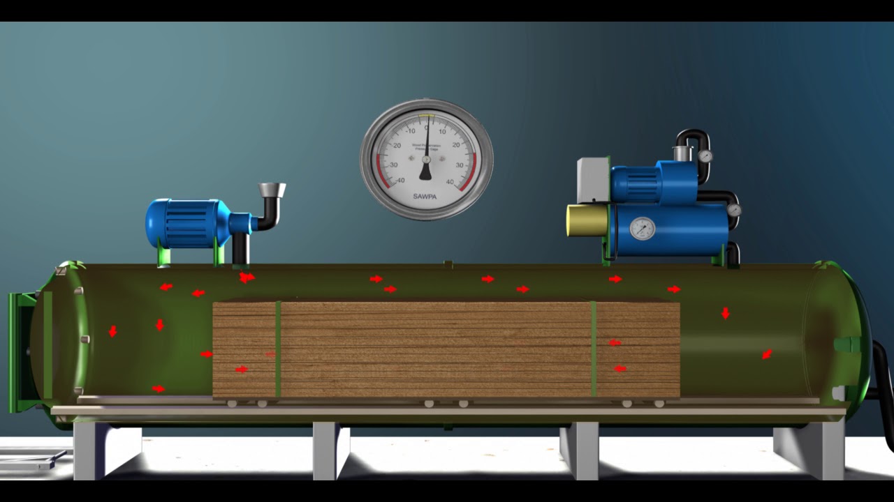 Full Cell Process Animation - YouTube