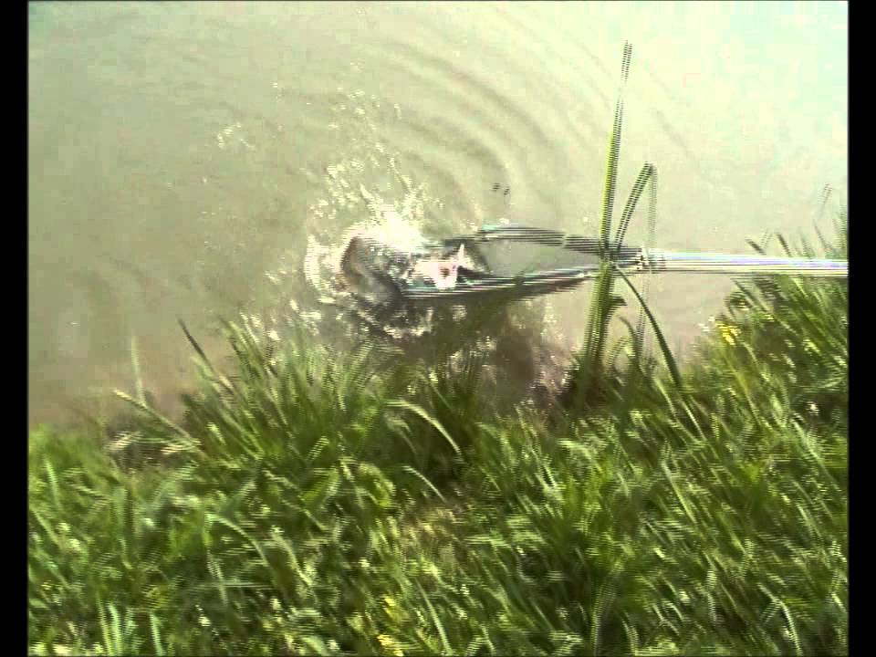 Ribolov Saran Samaila Srbija / Carp Fishing Samaila Serbia - YouTube