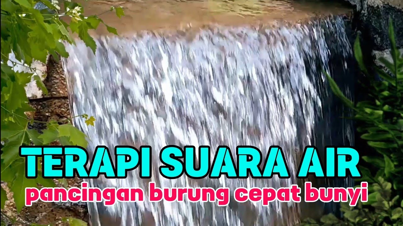 Terapi Suara Air Untuk Pancingan Burung Cepat Bunyi, Terapi Air ...