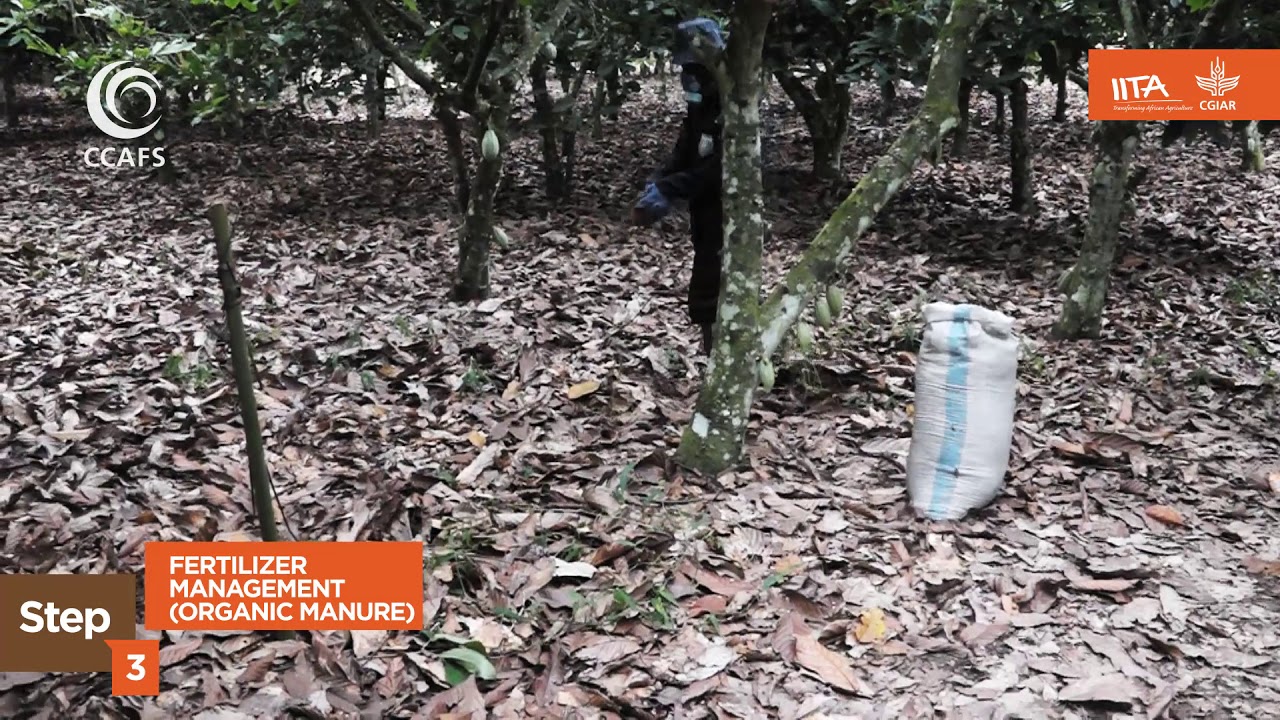 Step 3 Fertilizer management Organic Manure - YouTube