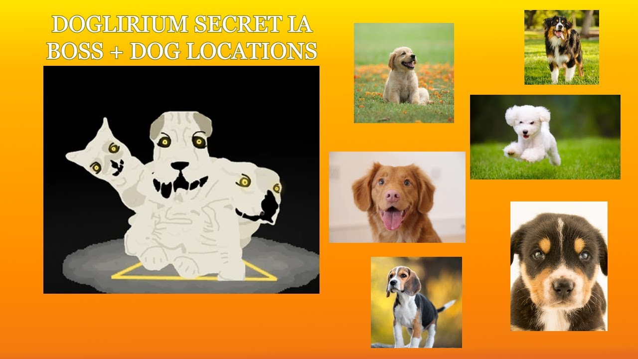 ITEM ASYLUM: DOGLIRIUM SECRET BOSS (and the dog locations) - YouTube