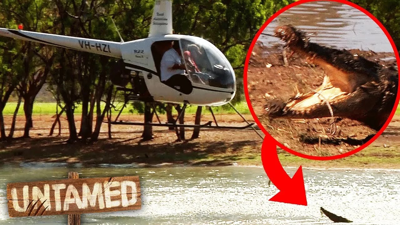 Crazy! Chopper Rescuing 12ft Crocodile Stuck In River 🐊 Keeping Up With ...