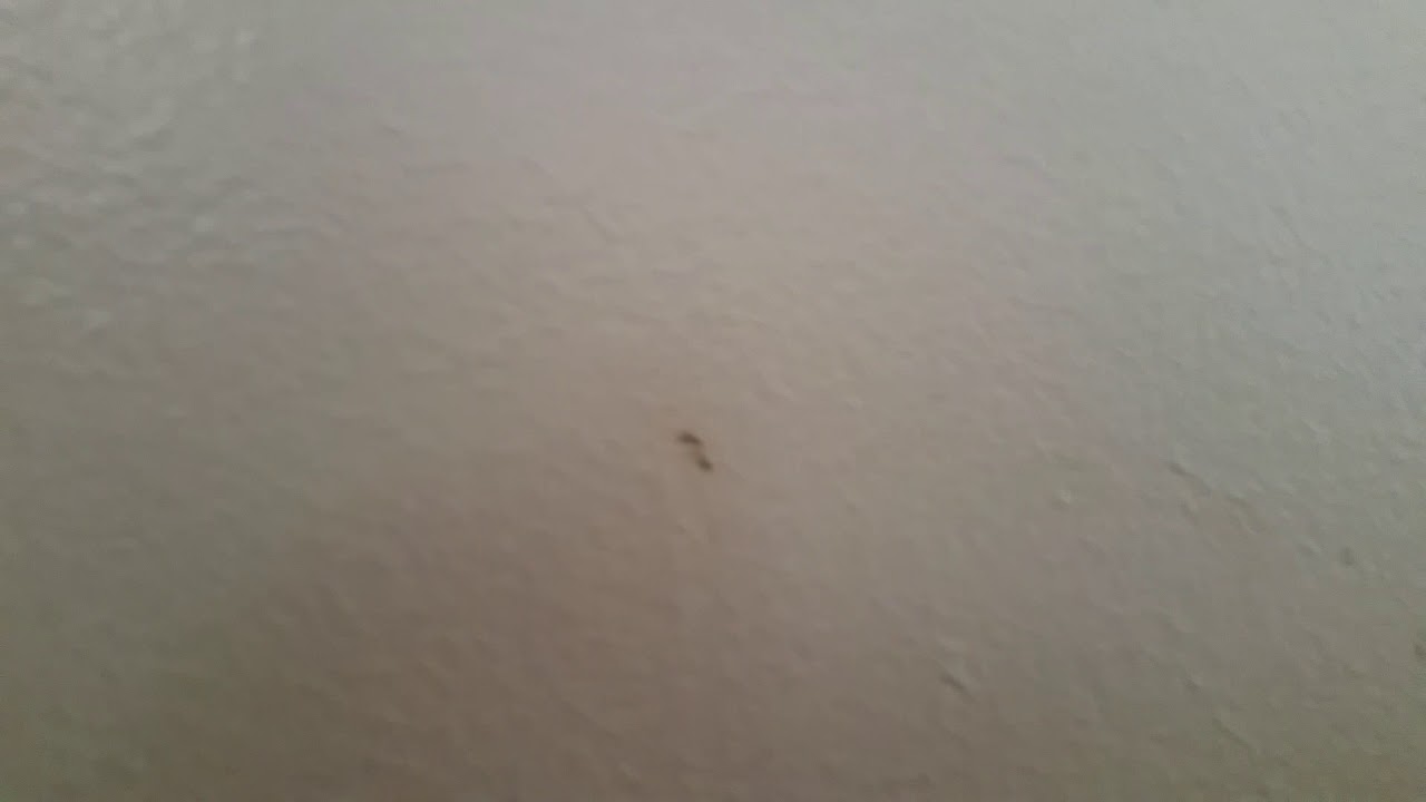 the booger collection - YouTube