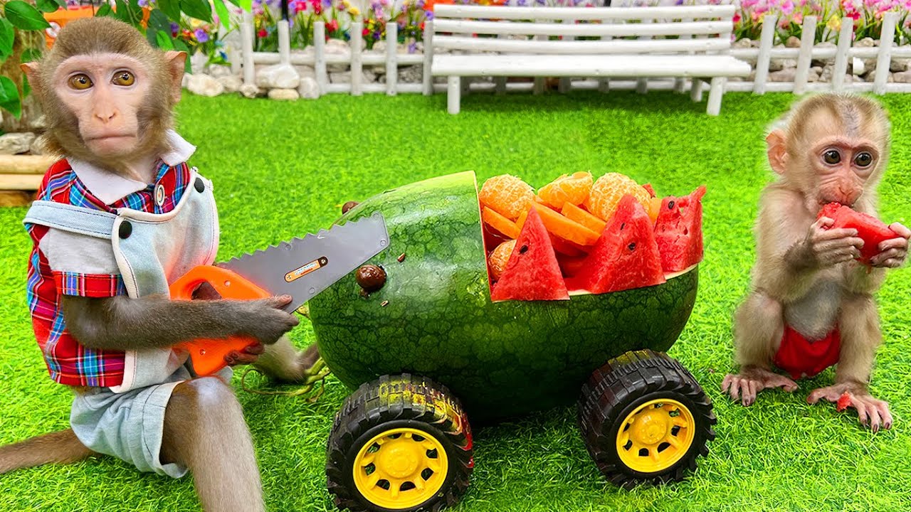 Baby monkey Bim Bim and Obi harvest fruit farm and enjoy it on new ...