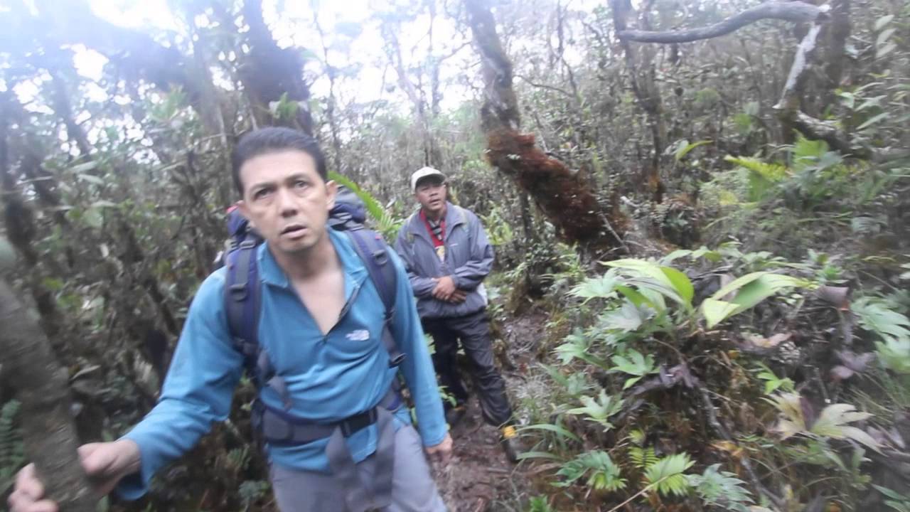 Rare video footage Mt Trus Madi hike via Mannan Trail (Kg Sinua Sook ...