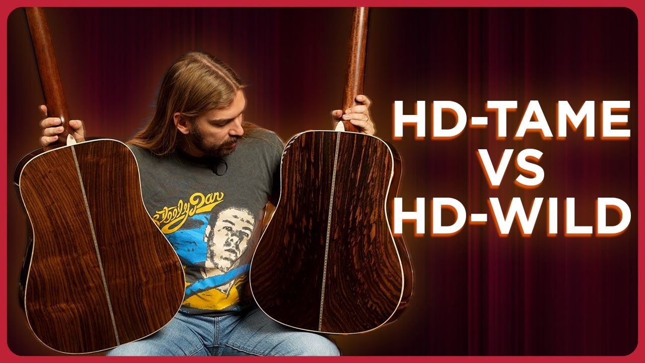 Martin HD-TAME vs HD-WILD | We Compare Our Custom with the Standard HD ...