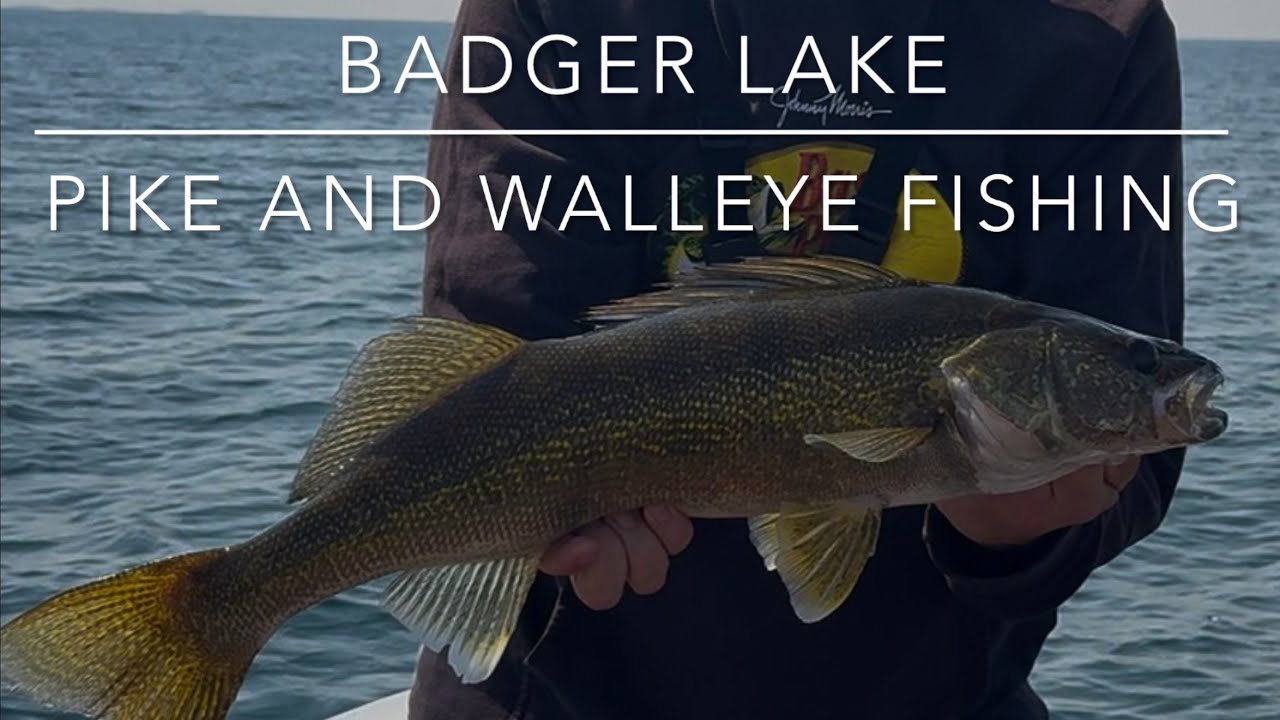Badger Lake Alberta Pike And Walleye Fishing - YouTube