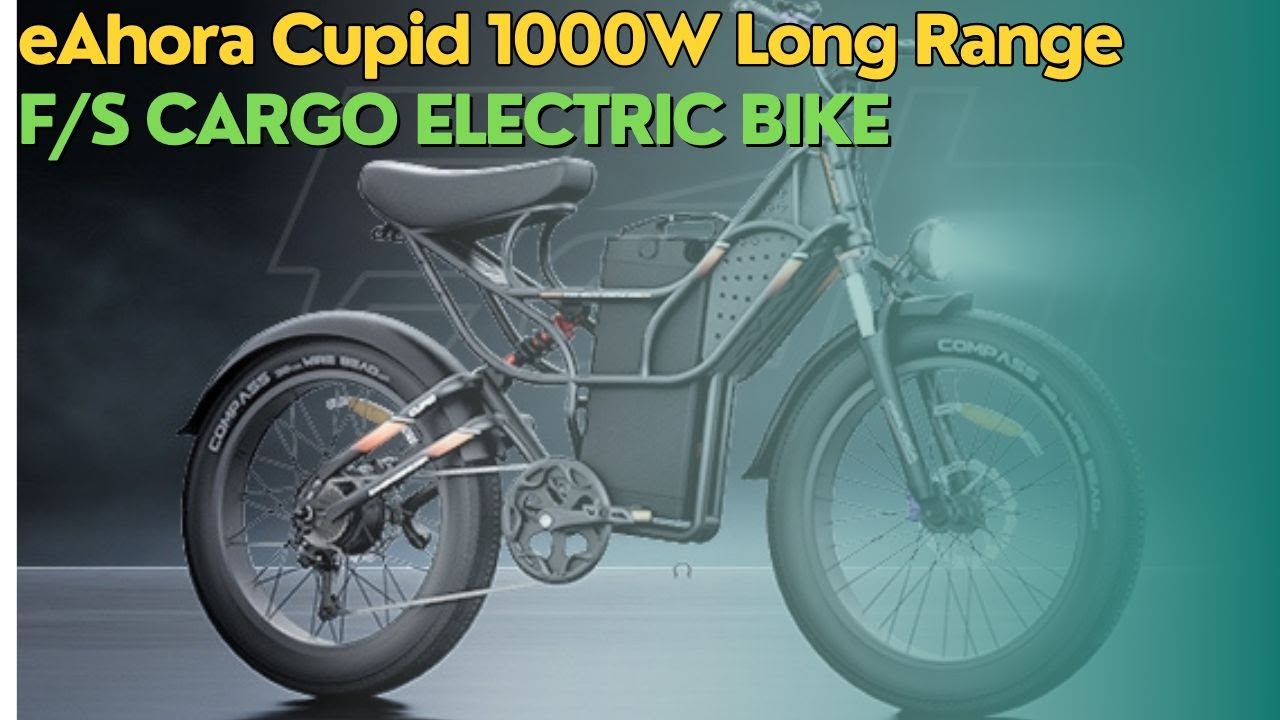 eAhora Cupid 1000W Long Range Full Suspension Cargo Electric Bike - YouTube
